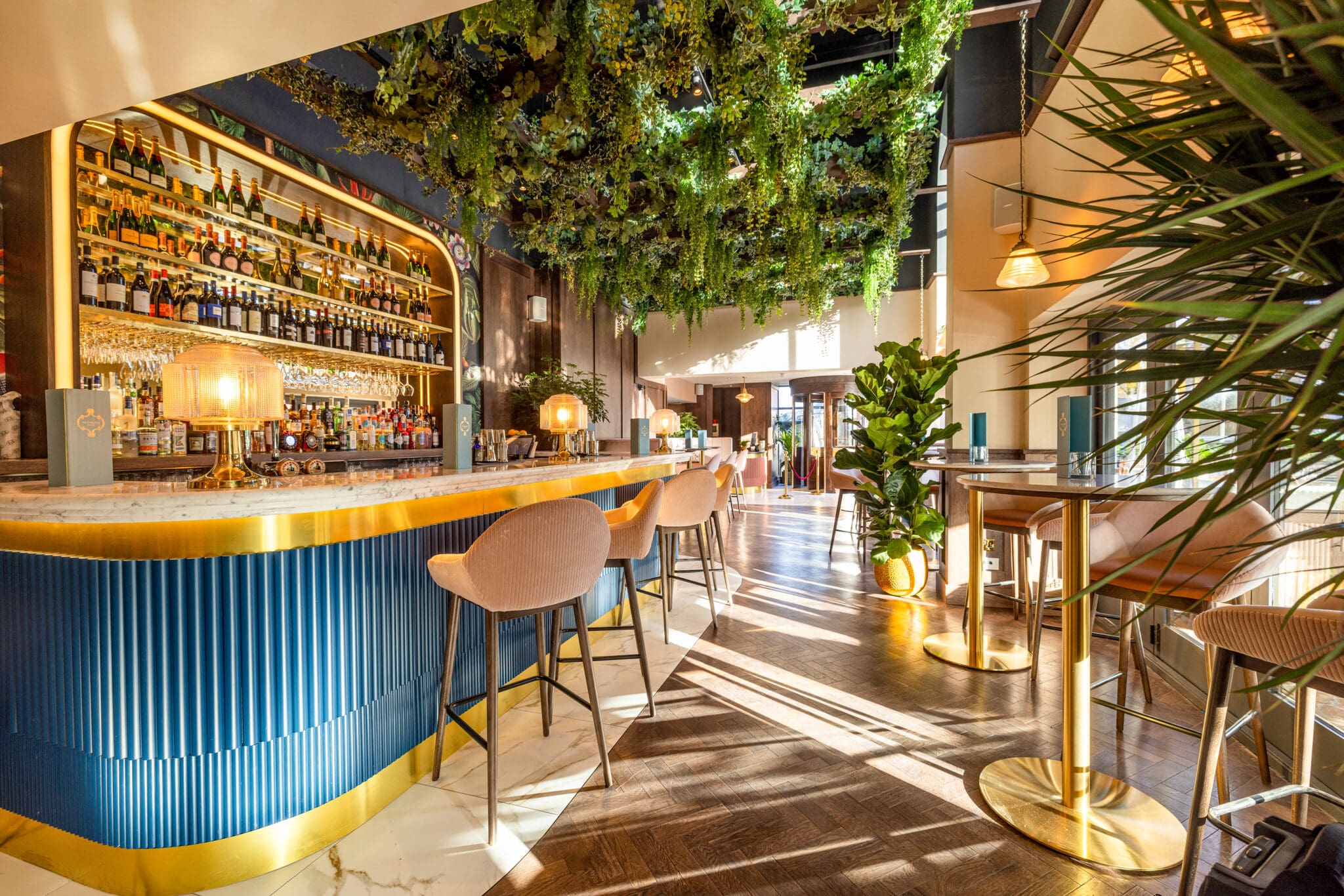 Club IR - Exclusive Dining Rewards at Piccolino